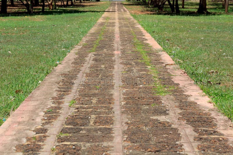 Walk way stock photo. Image of clean, drop, cube, walk - 63857262