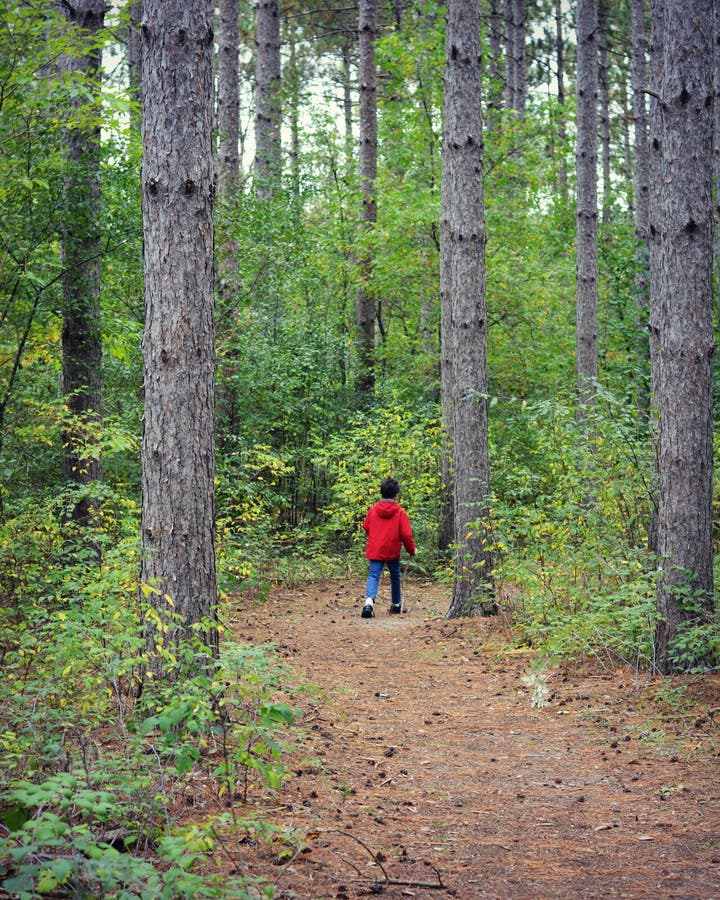 Walk through Woods stock image. Image of exploration - 66862975