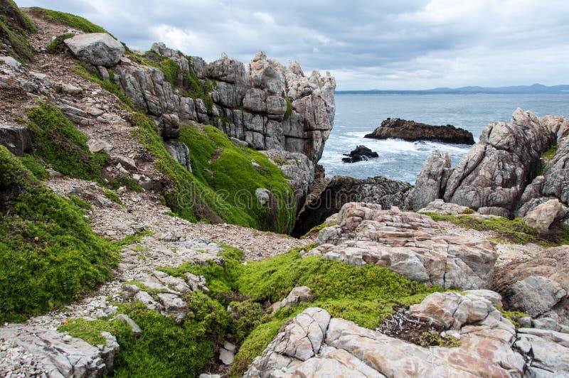 Hermanus stock photo. Image of ocean, nature, outdoor - 11709908