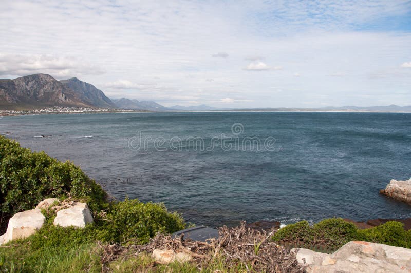 Hermanus stock photo. Image of ocean, nature, outdoor - 11709908