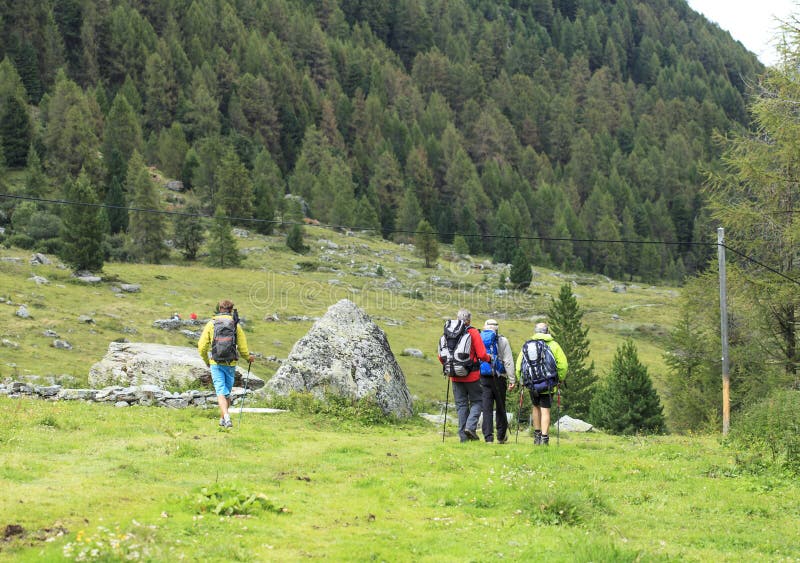 Walkers on the path editorial stock photo. Image of walkers - 98692298