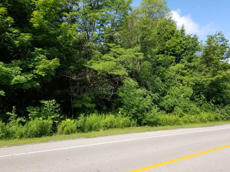 Walking Alongside a Quiet Road Stock Image - Image of road, sitting ...
