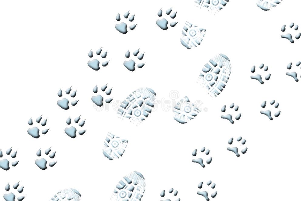 Walking with animals stock illustration. Illustration of stamps - 3081906