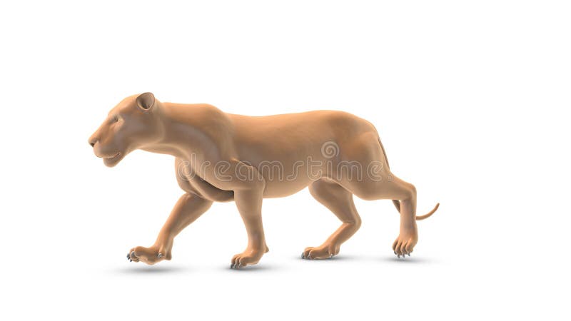 Walking Animated Lion on a White Background Stock Illustration ...