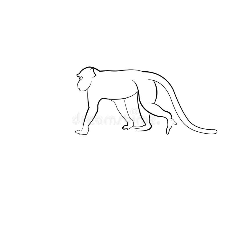Walking Apes Monkey with Silhouette and Line Art, Ape, Chimpanzee ...