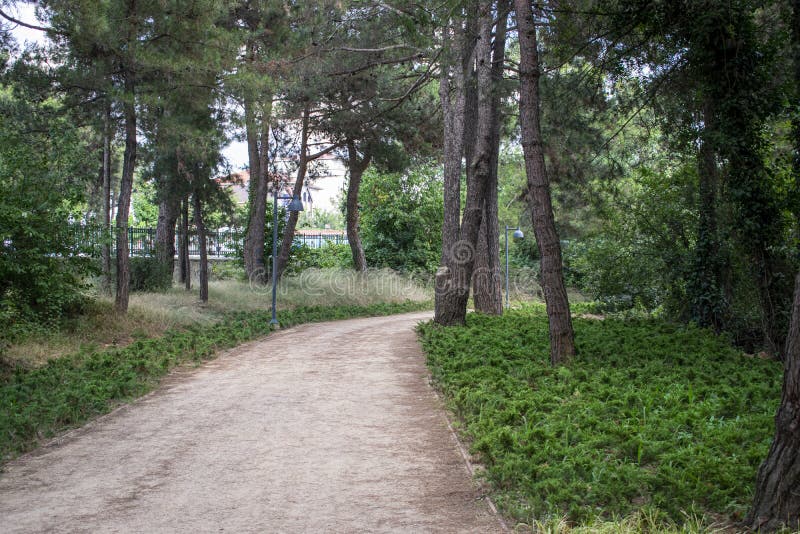 Walking area in the park stock image. Image of haystack - 191937347