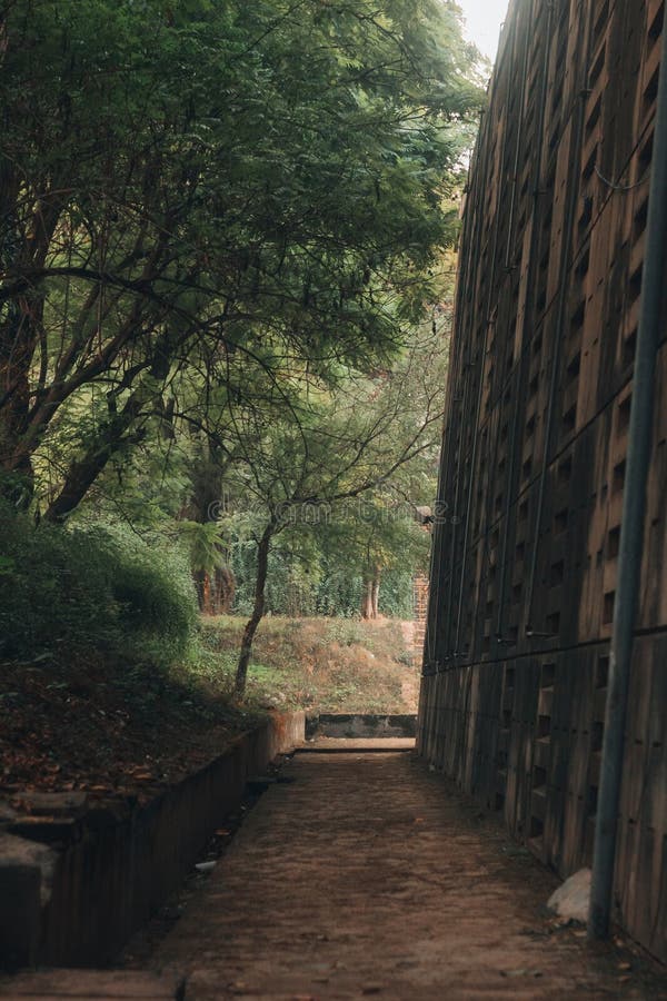 Walking Area of Park with Sunset Stock Photo - Image of walking, leaf ...