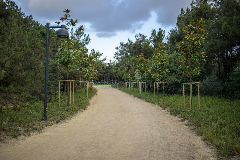 Walking area in the park stock image. Image of istanbuln - 191935989