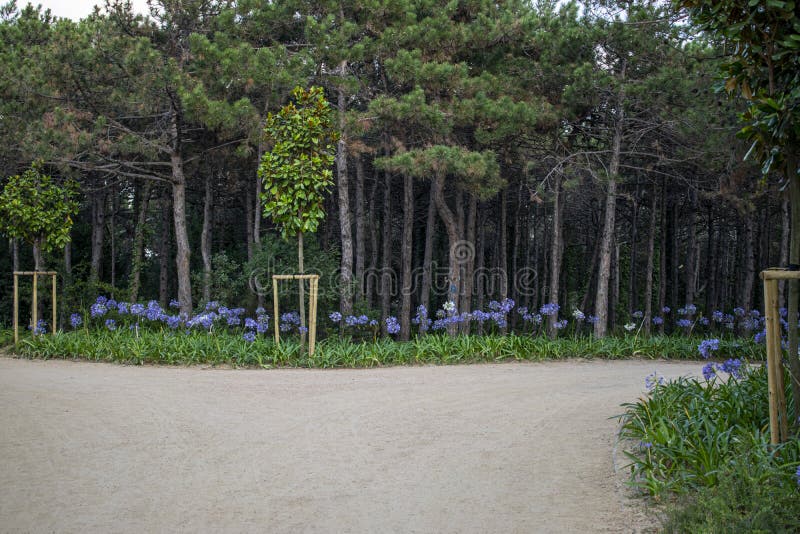 Walking area in the park stock image. Image of istanbul - 191936165