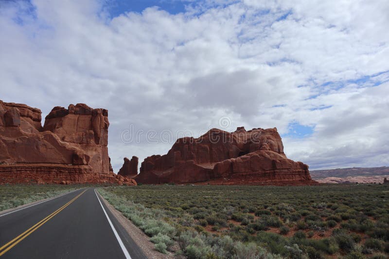 Beautiful Desert Plants, Moab Stock Photo - Image of beauty, landscapes ...
