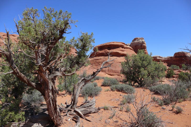 Beautiful Desert , Moab stock photo. Image of capturing - 165966124