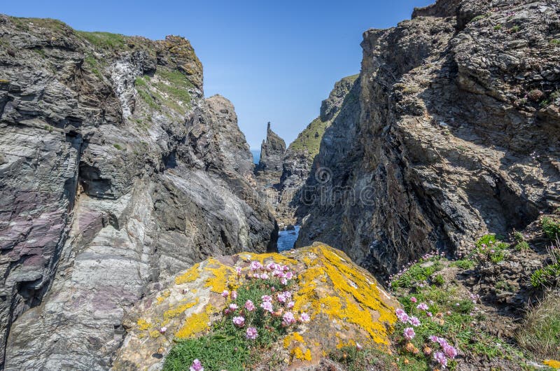 Stepper Point near Padstow stock image. Image of blue - 50134345