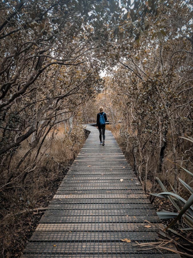 Walking Around Hatea Loop Whangarei Editorial Photography - Image of ...
