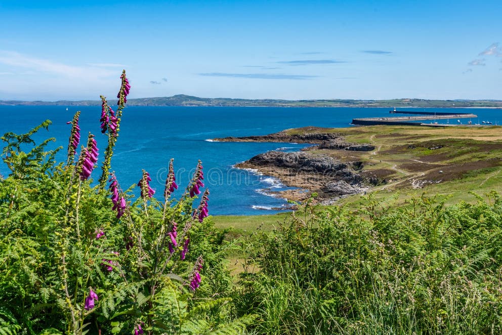 Walking Around Holyhead Breakwater Park Anglesey Stock Photo - Image of ...