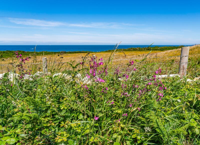 Walking Around Holyhead Breakwater Park Anglesey Stock Image - Image of ...