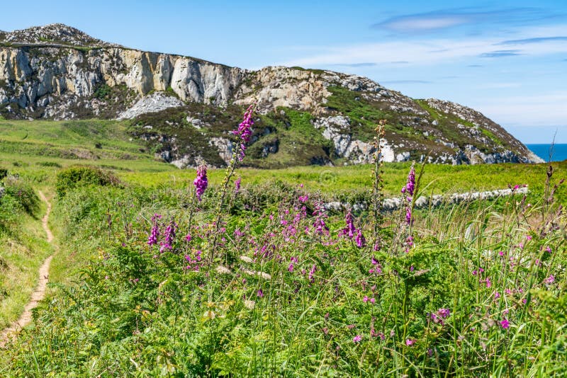 Walking Around Holyhead Breakwater Park Anglesey Stock Image - Image of ...