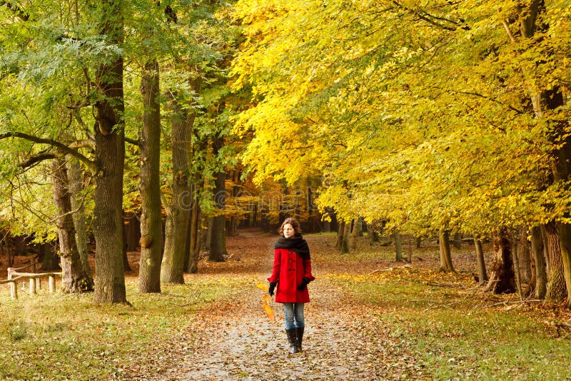 Walking in autumn park stock photo. Image of autumn, landscape - 10915314