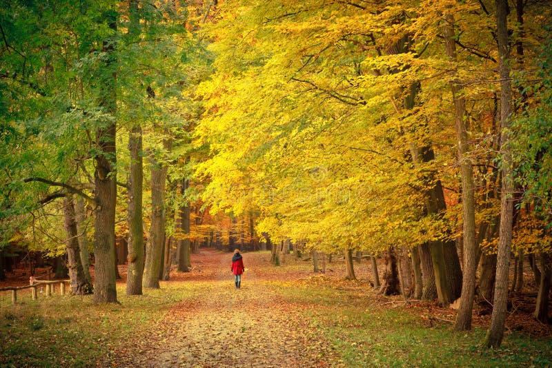 Walking in autumn park stock photo. Image of autumn, landscape - 10915314