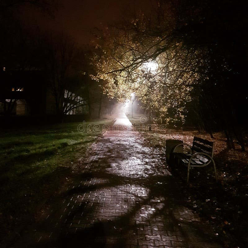 Walking back home at night stock image. Image of night - 130928557