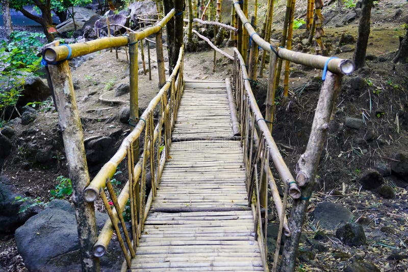 Walking on Bamboo Bridge Across Stream in Lush Tropical Forest Path ...