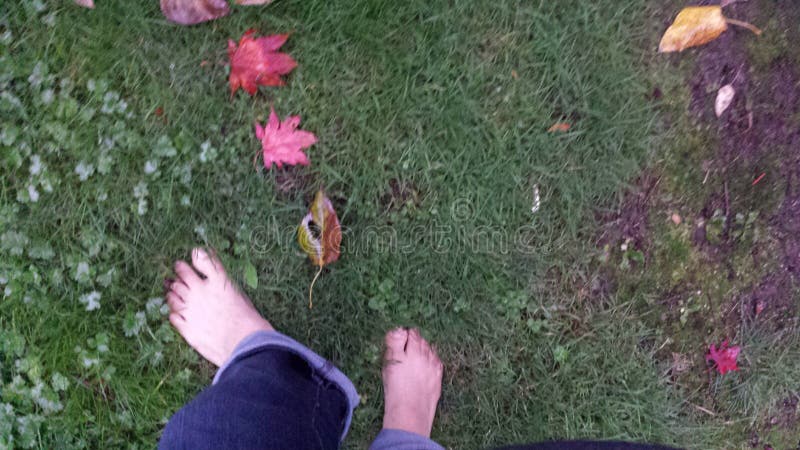 Walking Barefoot Feet on the Ground Grounding Stock Image - Image of ...