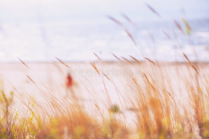 Walking on the Beach in Spring Stock Photo - Image of locations ...