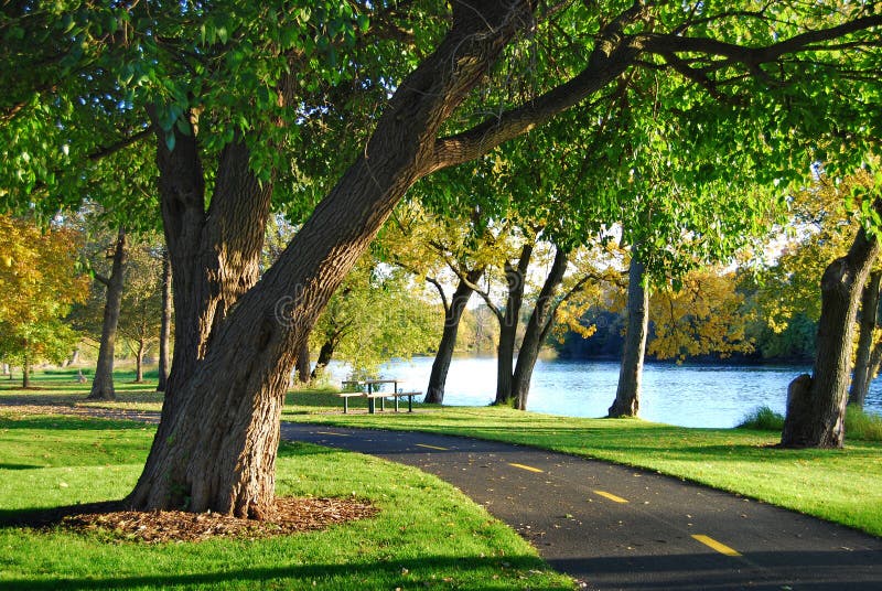 Walking Bike Path in the Park Stock Photo - Image of exercise, activity ...