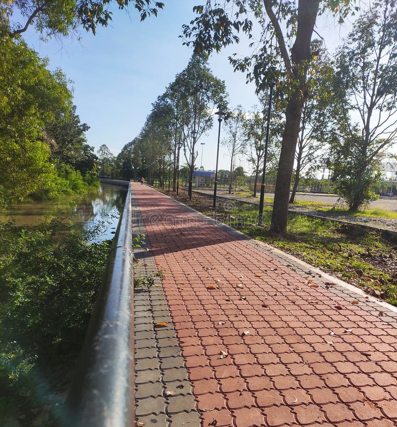Walking through Brick Pavement at Public Park Stock Photo - Image of ...