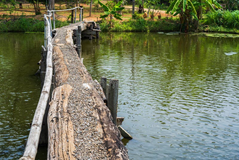 Walking Bridge Across River Stock Photo - Image of footpath ...