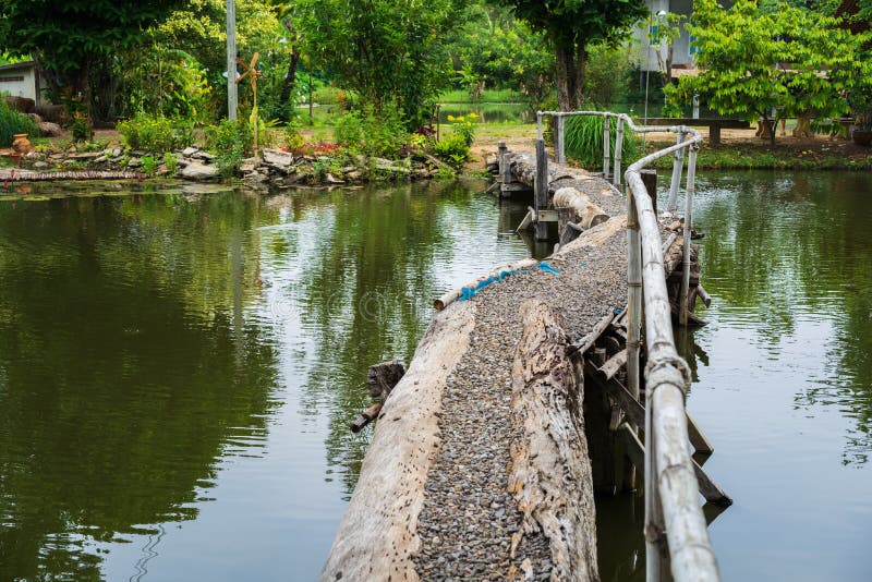 Walking Bridge Across River Stock Photo - Image of river, nature: 115641872