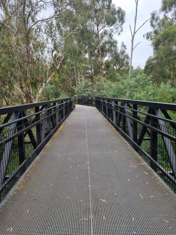 Walking Bridge Australian Bush Land Stock Photo - Image of walking ...
