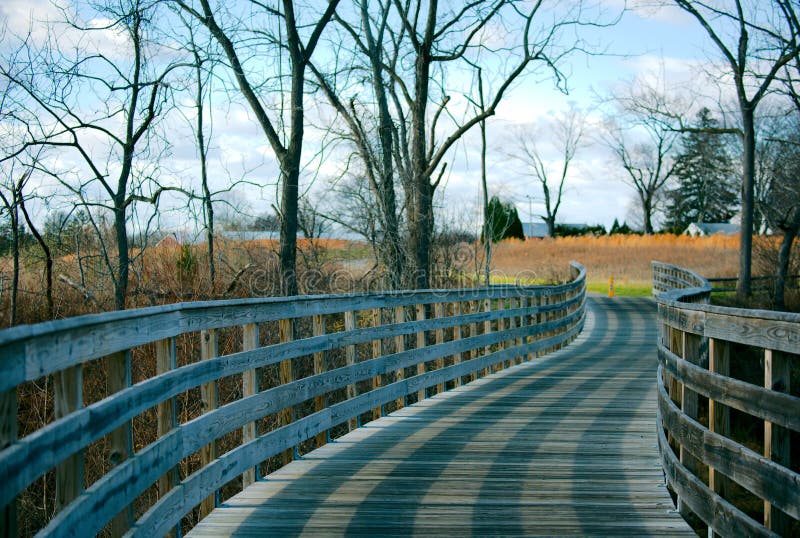 Walking bridge in forest stock image. Image of tranquil - 96289687
