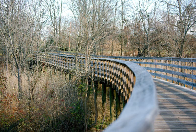 Walking bridge in forest stock photo. Image of beautiful - 96289862
