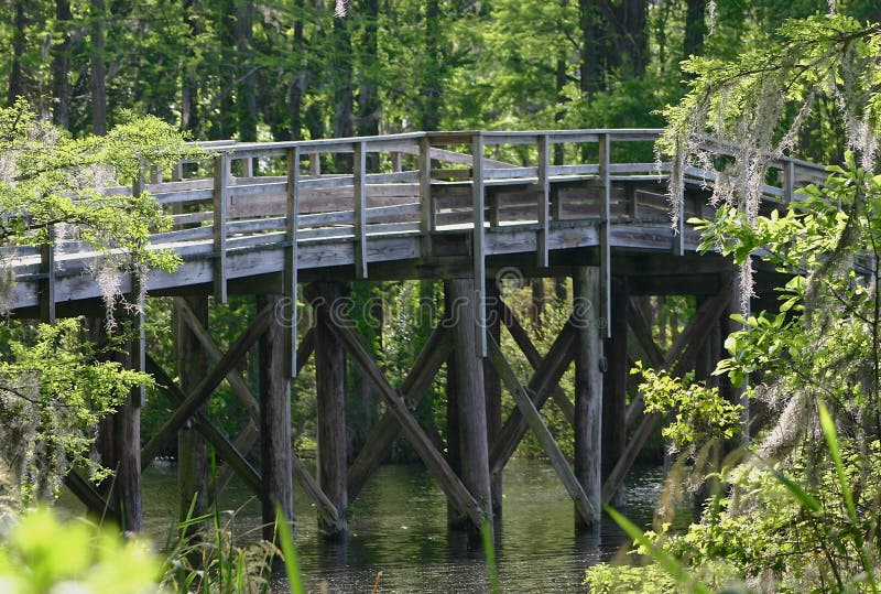 Walking Bridge Crossing Over River Stock Image - Image of forest ...