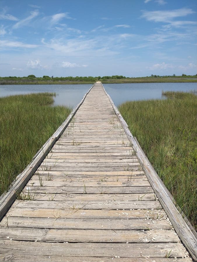 Walking Bridge Over Waterway Stock Photo - Image of wetland, track ...