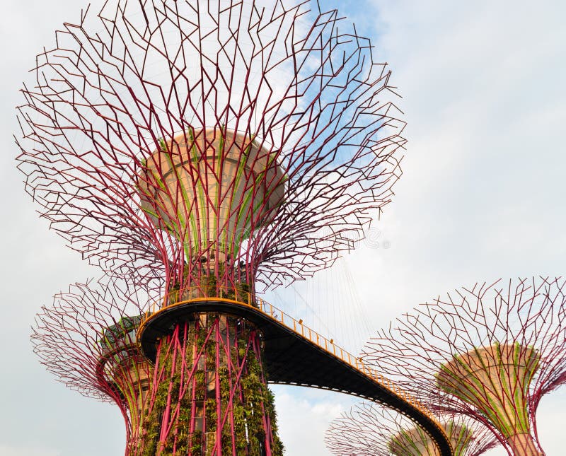 Walking Bridge on Super Trees in Gardens by the Bay Singapore Stock ...