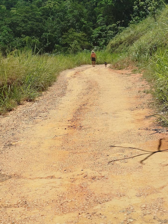 Walking Calmly on the Dirt Road Stock Photo - Image of tree ...