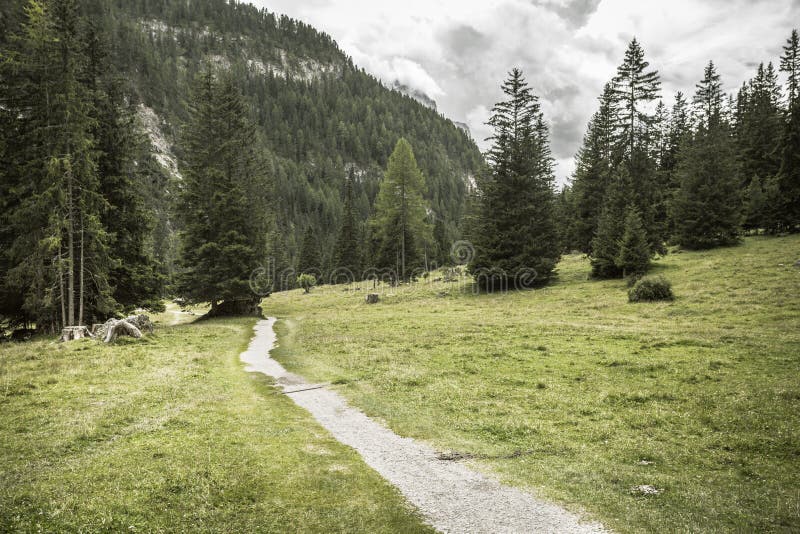 Walking in a Cloudy Day Long a Path among the Woods in the Dolomites ...