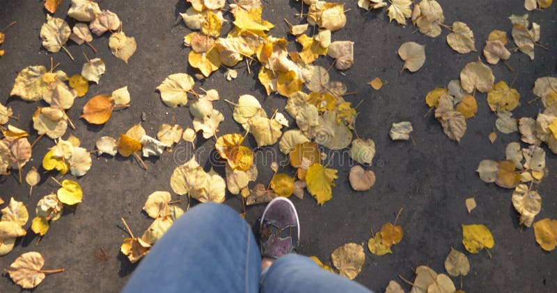 Walking on the Concrete Ground with Yellow Leaves from First Person ...
