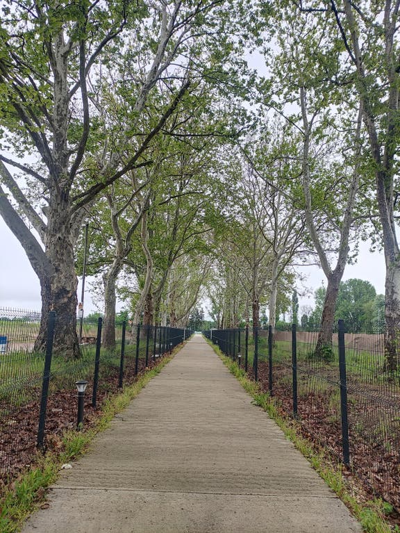 Walking on a Concrete Path in Cloudy Weather, with a Green Tree Line on ...
