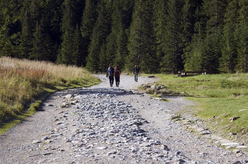 Walking on country track stock image. Image of mountain - 3377445