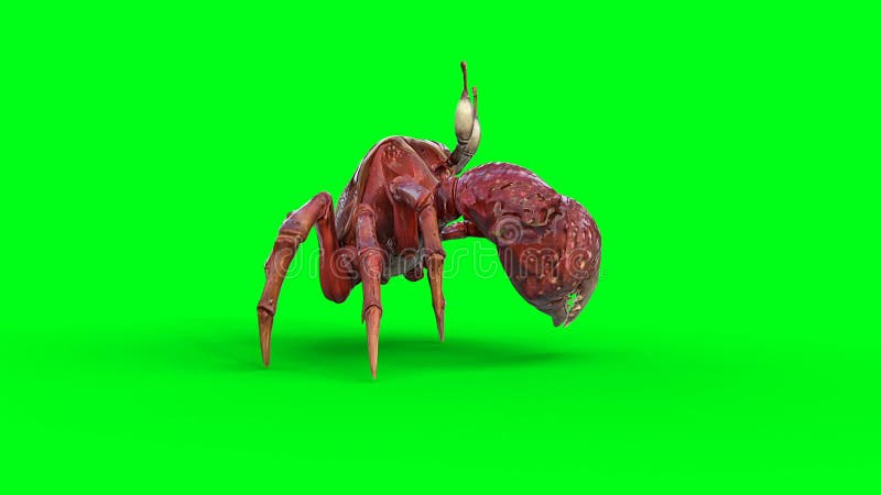 Walking Crab. Green Screen 4k Animation. Stock Footage - Video of ...