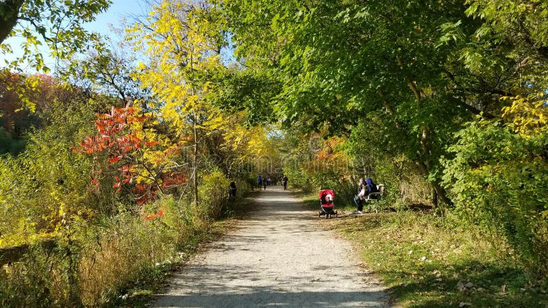 The Walking on the Culham Trails during the Fall Stock Photo - Image of ...
