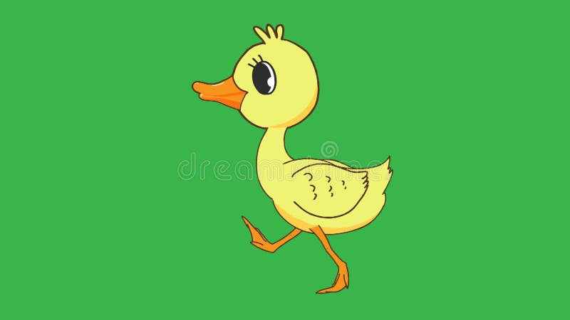 Walking Cycle Duck Animation Greenscreen Stock Video - Video of ...