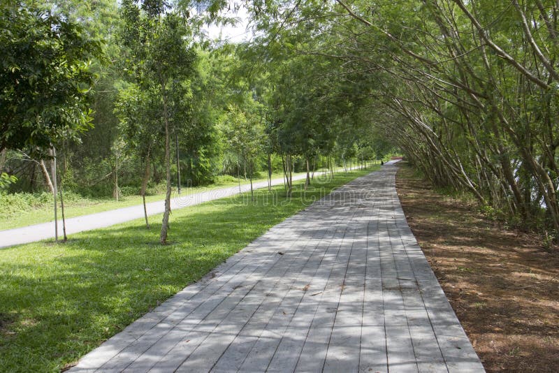 Walking and cycling path stock photo. Image of destination - 46544712