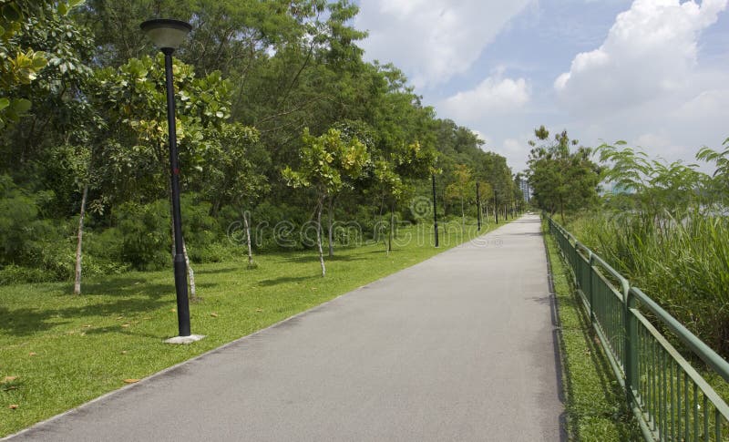 Walking and cycling path stock photo. Image of asia, bicycle - 46542120