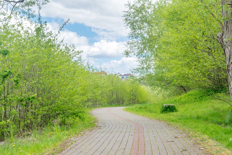 Walking and Cycling Path between Trees Stock Photo - Image of grass ...