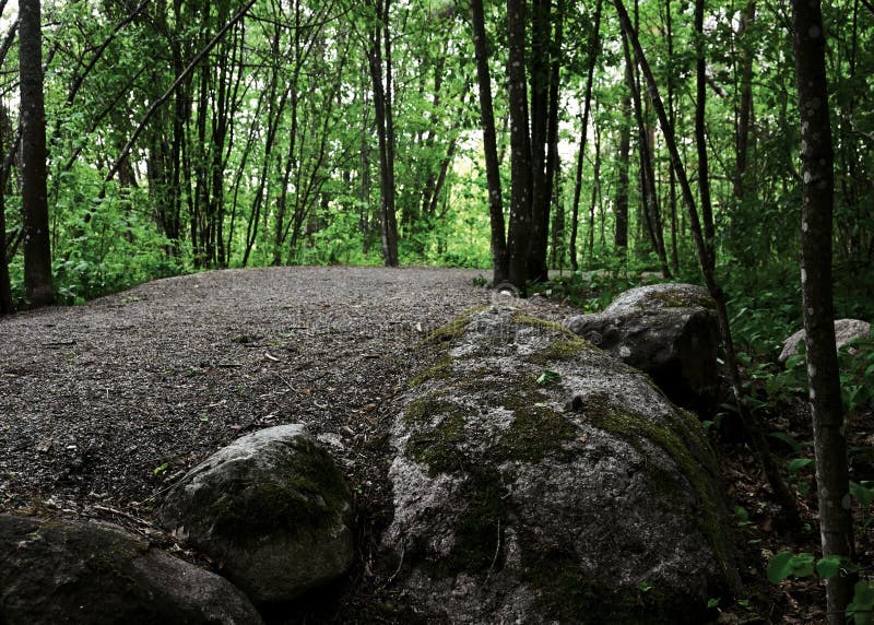 Walking Dirt Path in the Park Stock Image - Image of outdoor, covered ...