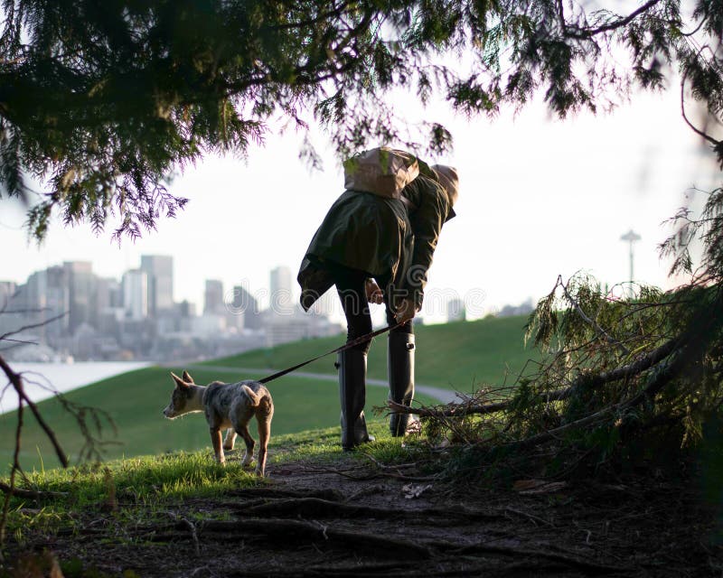 Dog Ducking Woman Stock Photos - Free & Royalty-Free Stock Photos from ...