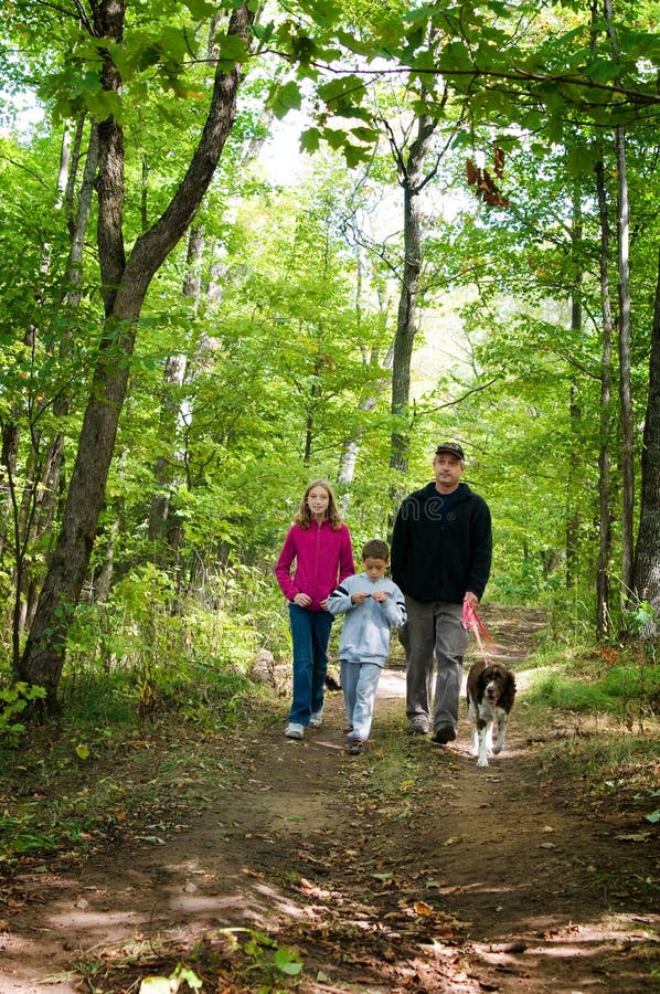 Walking the Dog through a Forest Stock Image - Image of daughter ...